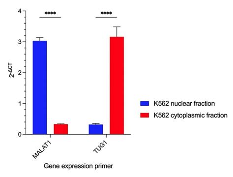 Preparation Of Cytoplasmic And Nuclear Long Rnas From Primary And Cultured Cells