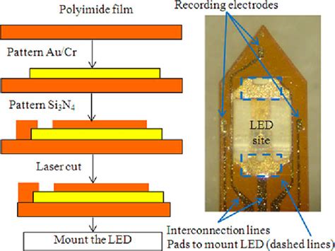 Figure from An Integrated μLED Optrode for Optogenetic Stimulation
