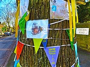 The Sheffield Street Tree Massacre Notes From A Public Private Partnership Gone Wrong The
