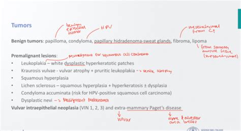 Patho L L Female Genital System Flashcards Quizlet