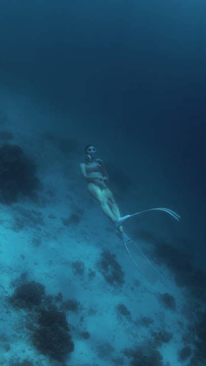 Девушка фридайвер плывет под водой в тропическом море Short Freediver Youtube