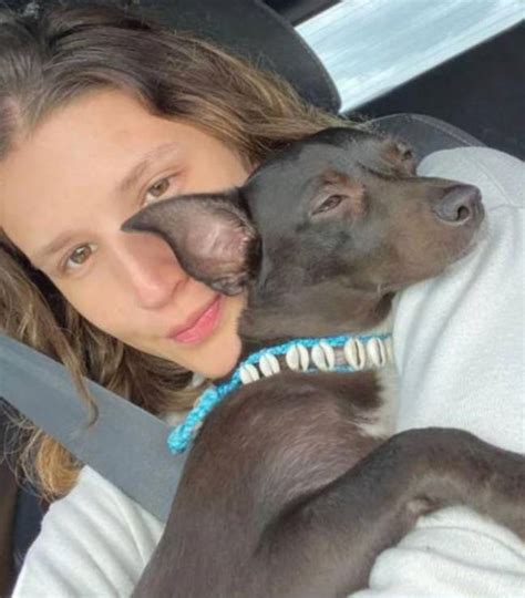 Maia The Dog Found Inside Airport Three Weeks After Airline Lost Her