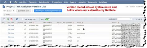 Watch How To Extend Netsuite Sublist With High Performance Edits