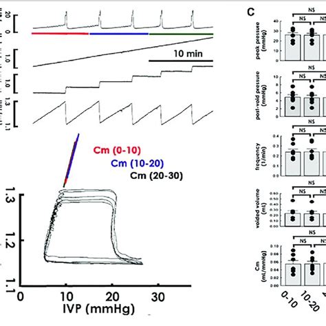 Cystometry And Pressure Volume Analysis A Cystometry Showing That Download Scientific