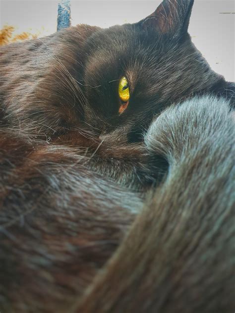 Our Pumpkin Scrolller