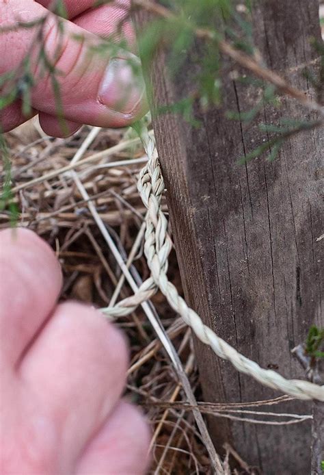 Buy Sgt Knots Grass Cord Twisted Grass Rope Biodegradable Natural