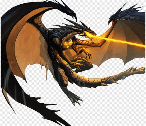 드래곤 판타지 드로잉 드래곤 전설의 생물 용 Png Pngegg