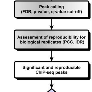 Workflow For The Computational Analysis Of ChIP Seq Download Scientific Diagram