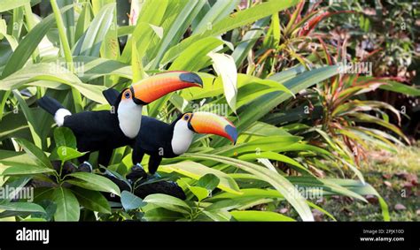 Horizontal Banner With Two Beautiful Colorful Toucan Birds Ramphastidae On A Branch In A