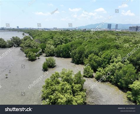 Carbon Capture Ocean Images Stock Photos Vectors Shutterstock