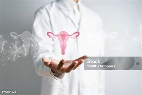 가상 자궁 생식 기관 여성 건강 Pcos 난소 부인과 및 자궁 경부암 건강한 여성 개념을 들고 흰 코트를 입은 의사 건강한 여성 개념 생식권에 대한 스톡 사진 및 기타