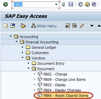 FBRA How To Reset Cleared Items In SAP SAP DOPE
