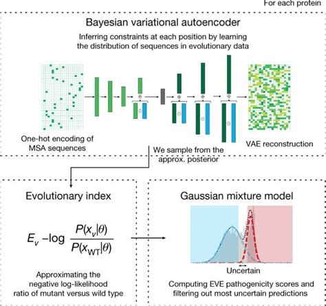 Disease Variant Prediction With Deep Generative Models Of Evolutionary
