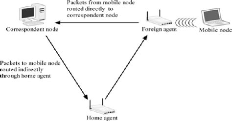 Triangular Routing Semantic Scholar