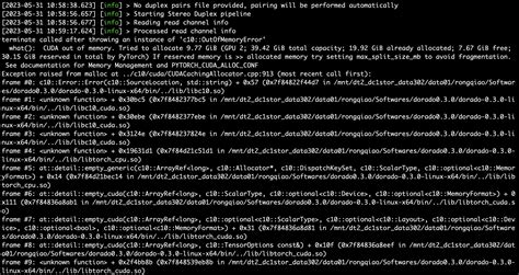 Core Dumped Using Dorado Duplex For Version 030 · Issue 212