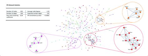 String Database Protein Protein Interaction Ppi Network Of