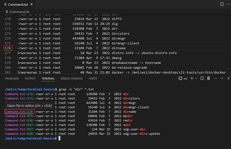 终端入门 Vscode 编辑器