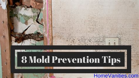 Mold Prevention Tips Homeowners Should Know Home Vanities