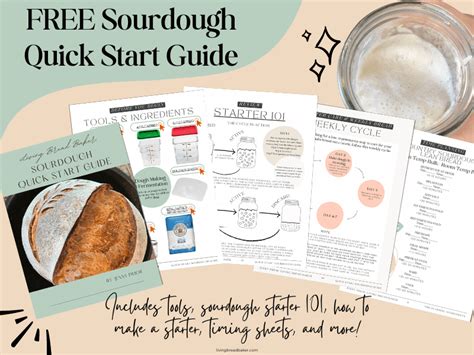 What Does A 100 Hydration Sourdough Starter Mean Living Bread Baker
