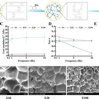 The Effects Of Matrix Stiffness And Culture Time On The Establishment Download Scientific