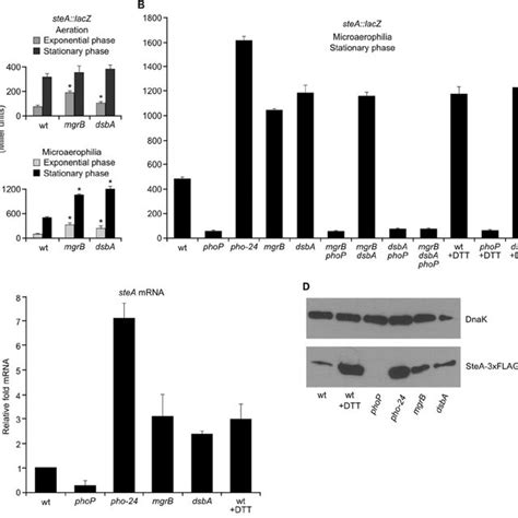 The Phoq Phop Two Component System Regulates Stea Expression In Download Scientific Diagram