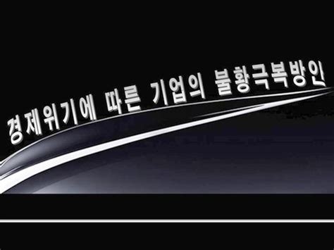 경제위기에 따른 기업의 불황극복방안