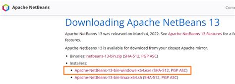 Cómo instalar Netbeans IDE 13 para java