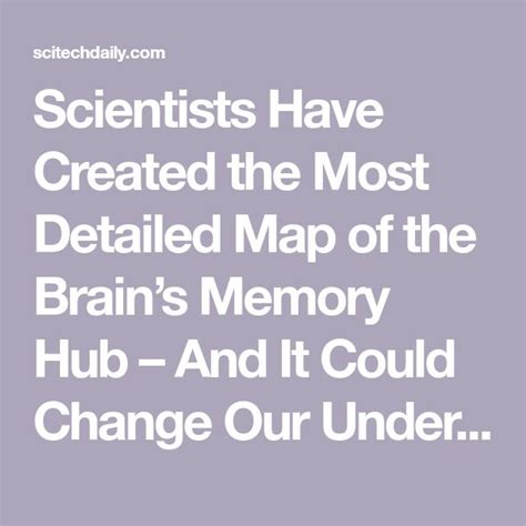 Scientist S Have Created The Most Detailed Map Of The Brain S Memory Hub And It Could Change