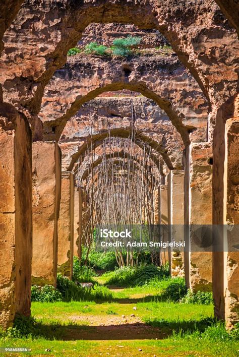 왕실 마구간 모로코 모로코 모로코에 대한 스톡 사진 및 기타 이미지 모로코 왕족 0명 Istock