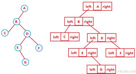 【数据结构】二叉树（门槛极低的系统性理解） 二叉树每个节点存储多少数据 csdn博客