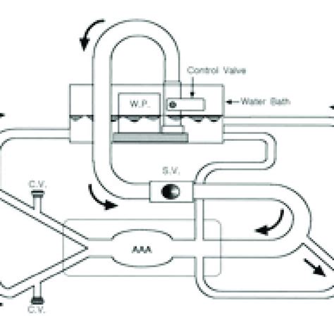 Pressure Measurements Of The Abdominal Aortic Aneurysm Model Download Scientific Diagram