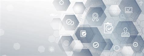 Affirmative Action Program Requirements