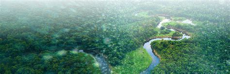 Ai Powered Forest Carbon Credits A Path To Sustainability And Climate