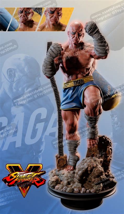 Sagat Free High Quality Models