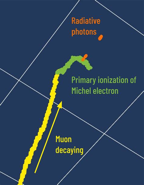 Exercise Finding Michel Electrons Lartpc Mlreco D Tutorials