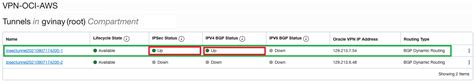 Efficiently Way To Use A Dynamic Bgp To Create A Vpn Tunnel Between Aws And Oracle Cloud