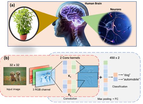 An Artificial Visual Perception Nervous System Using A Solution