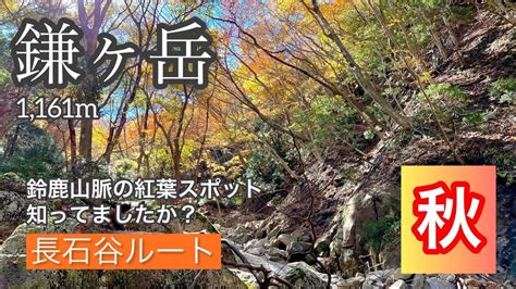 【鎌ヶ岳×紅葉】鈴鹿山脈で穴場的な紅葉スポット、鎌ヶ岳「長石谷ルート」。黄色というより黄金？平日は人も少なく渡渉を繰り返す中級者向けの登山
