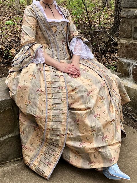 Robe A La Francaise With Stomacher 1760s 18th Century Sack Back Dress