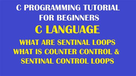 What Are Sentinal Loops What Is Counter Control Loop And Sentinal Control Loop Part YouTube
