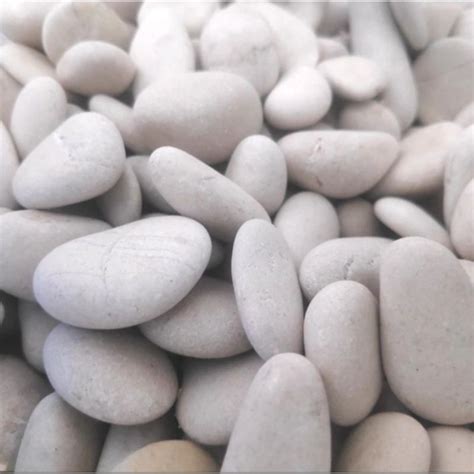 Jual Batu Koral Putih Pipih Batu Putih 25 30 Batu Taman Pipih Batu Hias Batu Murah Shopee