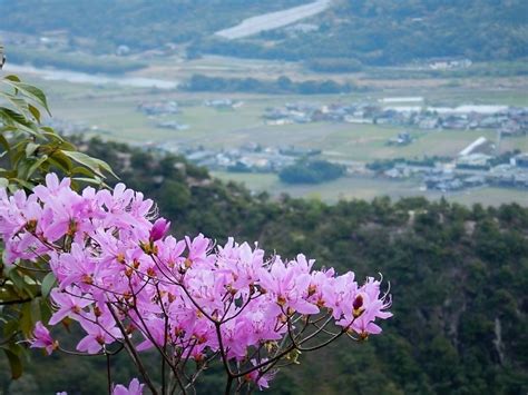 あしたのジョー 4月9日月 曇り午後晴れ 島根県で震度5強、山口県でも震度3 ショータイム！ 右田ヶ岳25