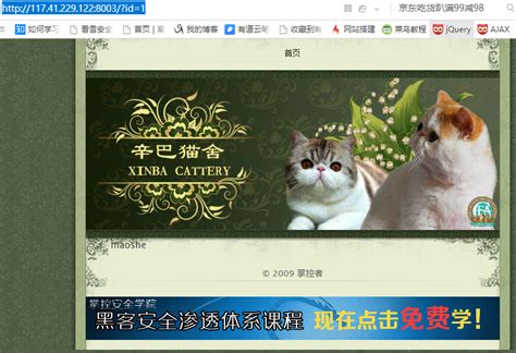 记一次sqlmap对某靶场网站的扫描 求知鱼 博客园