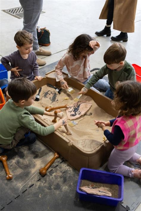 Fossil Dig Moonwalk Entertainment Barrie On