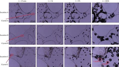 Results Of Test 1 Portraying The Micp Process In The Microfluidic