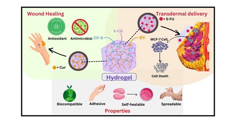 Metal Organic Framework And Biopolymer Based Composite Hydrogel For Enhanced Encapsulation Of