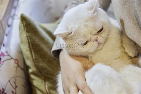 Skinny Image And Picture For Free Download Lovepik