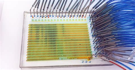 Microfluidics Lab On A Chip A Revolution In Miniaturized Diagnostics