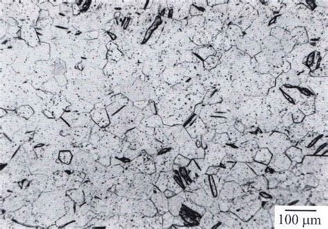 Pure Titanium Structure After Annealing For 1 Hour At A Temperature Of