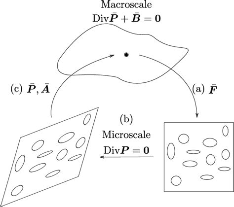 Figure 1 From Learning Constitutive Models From Microstructural Simulations Via A Non Intrusive